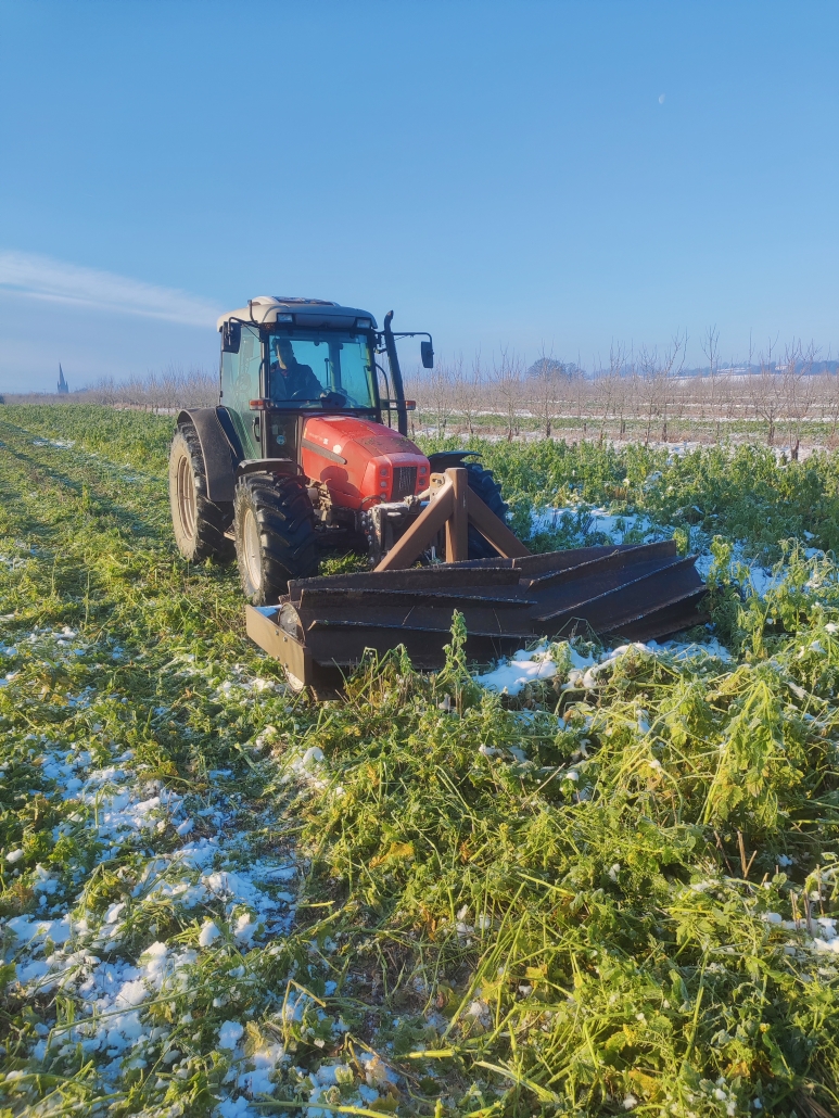 Winter work - Throne Farm